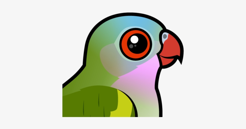 About The Princess Parrot - Princess Parrot - 440x440 PNG Download - PNGkit