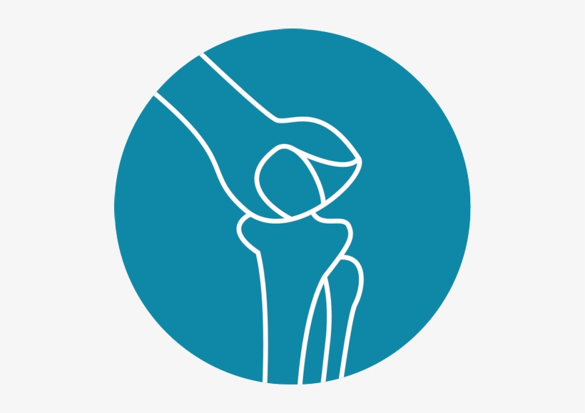 Knee Hip Shoulder Hands - Orthopaedic Icons Png Shoulder - 500x499 PNG ...