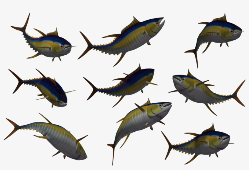 Tuna 02 By Free Stock By Wayne On Deviantart Svg Freeuse - Tuna 3d ...