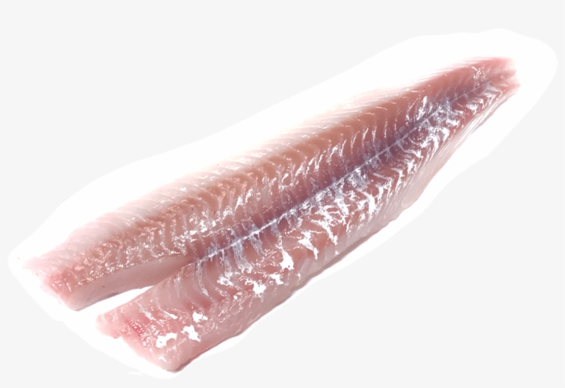 Fresh Pollock Fillet - Alaska Pollock - 1148x815 PNG Download - PNGkit
