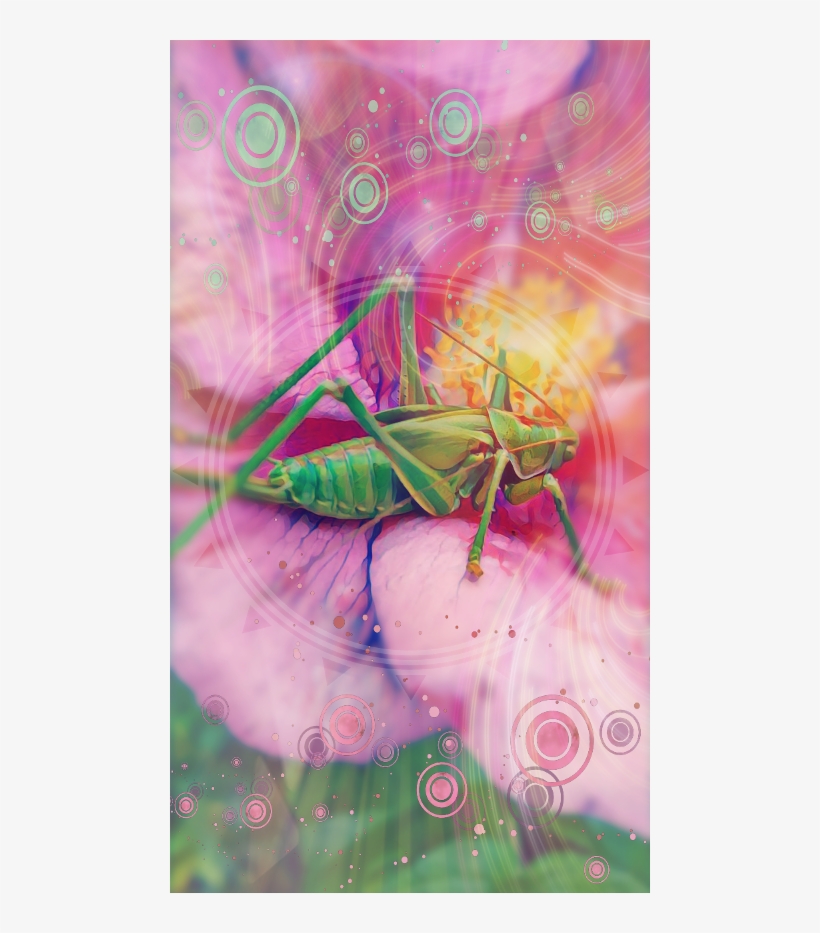 Flipp - 480x853 PNG Download - PNGkit