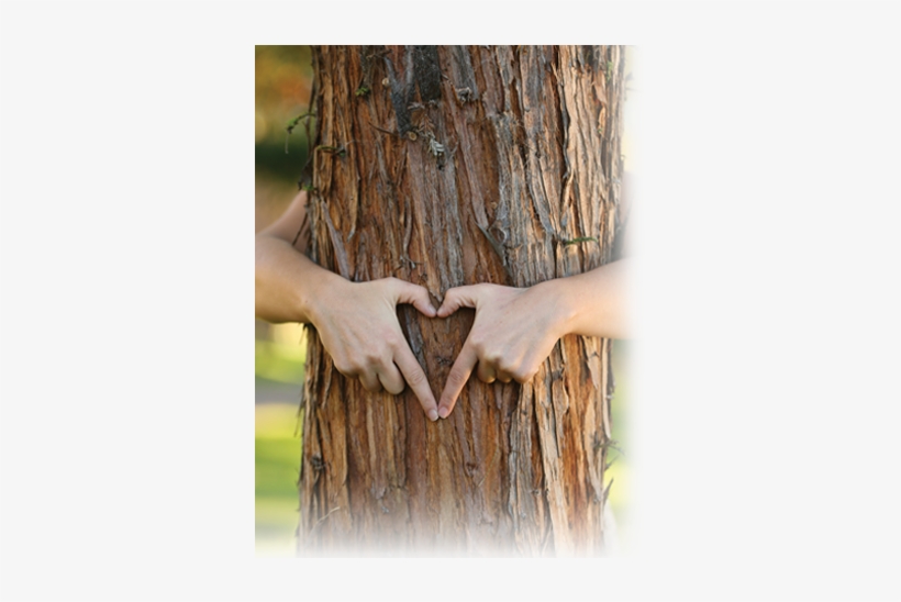 Tree - Png Girl Hand Hug - 400x467 PNG Download - PNGkit