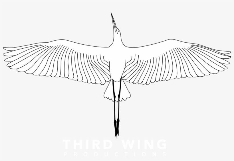 Third Wing Photo And Video Productions - Eagle - 978x624 PNG Download ...