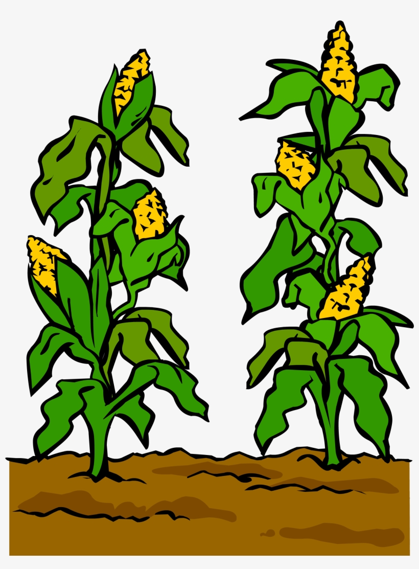 Garden Sprite 004 - 1953x2556 PNG Download - PNGkit