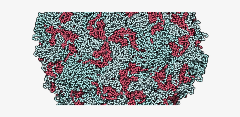 Download Transparent Post Navigation - Poliovirus Structure - PNGkit