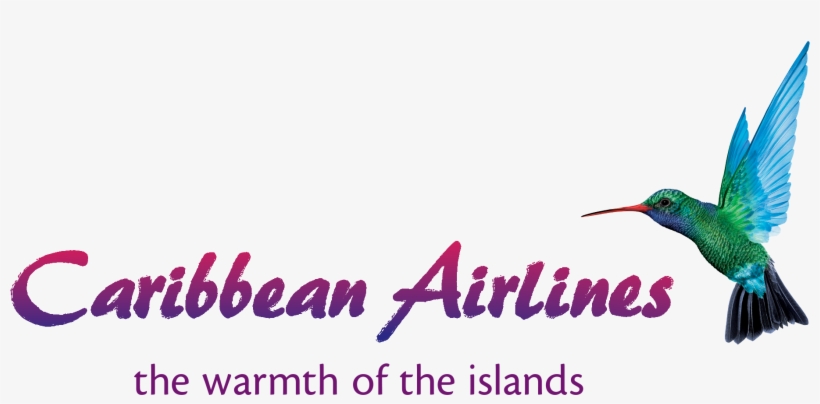 Download Transparent English - Caribbean Airlines Logo - PNGkit