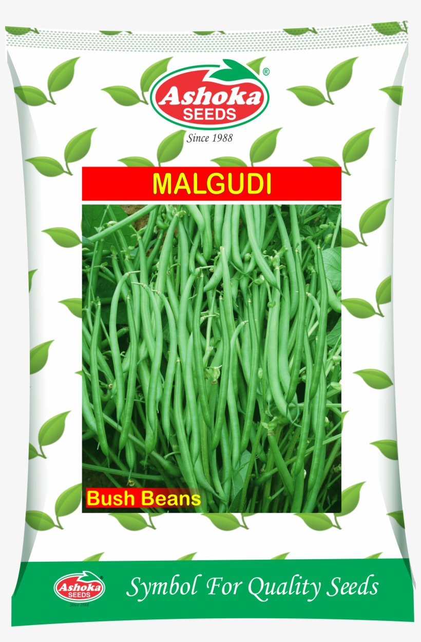 Our Profile - Ashok Seeds In Chilli Product - 2244x3307 PNG Download ...