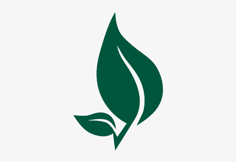 Anuja Ayurveda Dhule Leaf Logo - Ayurveda Leaf Clipart - 500x500 PNG ...