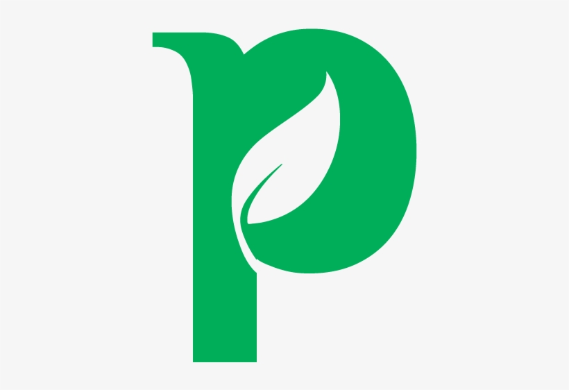 Pushya Ayurveda - Bengaluru - 894x937 PNG Download - PNGkit