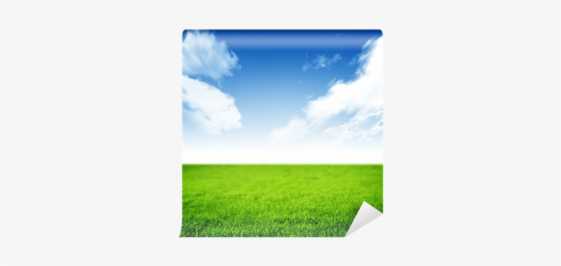 Nature Background - 400x400 PNG Download - PNGkit