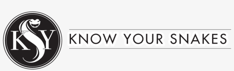 Dr - Evil - Line Art - 848x218 PNG Download - PNGkit