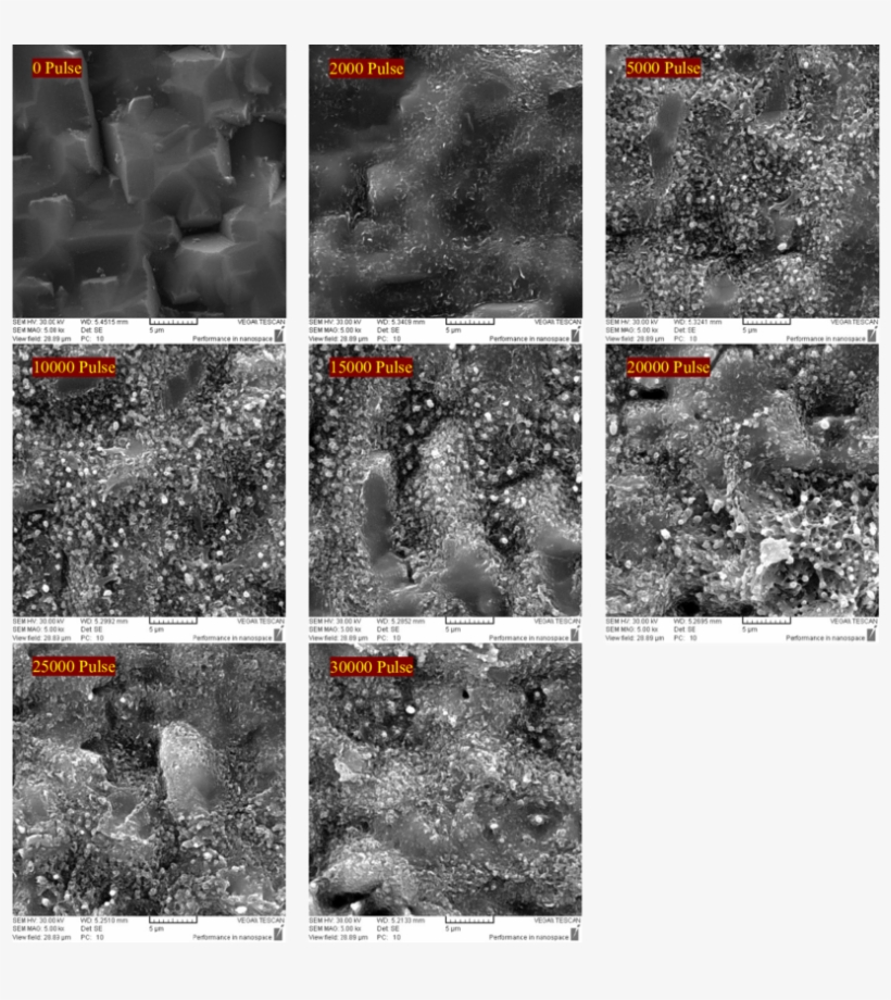 Typical Sem Images Of Initially Rough Silicon Irradiated - Irradiation ...