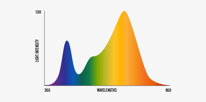 Light Spectrum V02 Flower Spectrum - Plot - 600x400 PNG Download - PNGkit