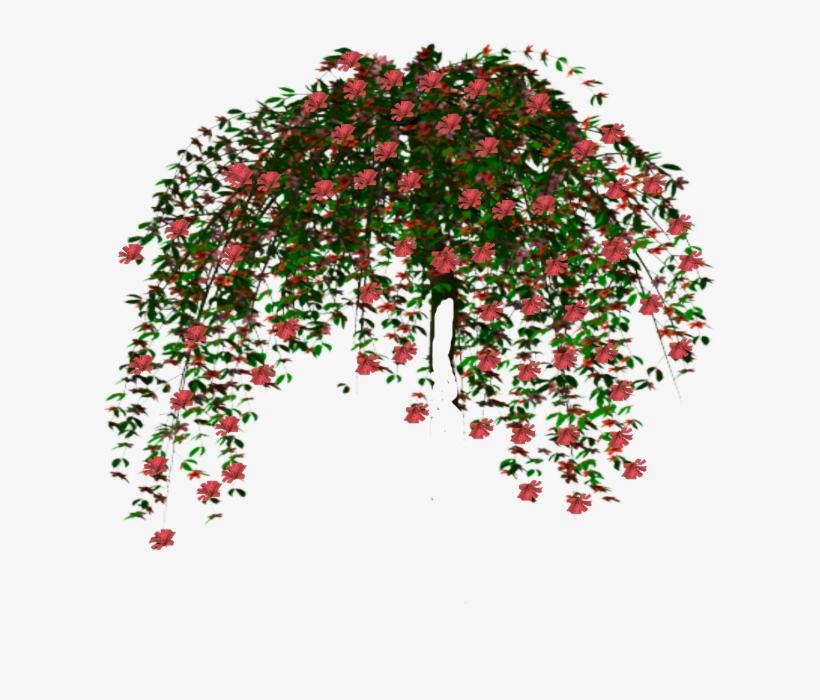 Alpha Tree Lv - Tree - 640x640 PNG Download - PNGkit