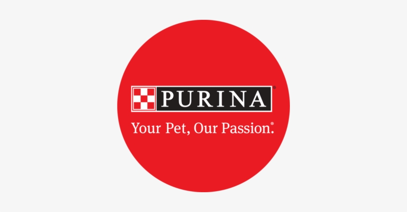 Purina® - Dog Chow - 348x348 PNG Download - PNGkit