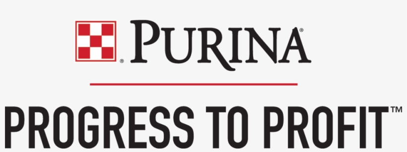 Free Purina Logo Png - Purina Pet Food T Shirt Dog Cat Checkerboard ...
