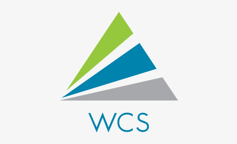 Wcs Wholesale Carrier Services Logo - Wholesale Carrier Services ...