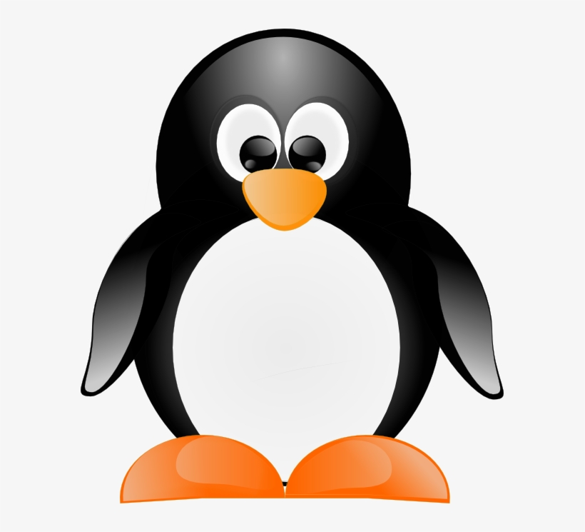 Vector Penguin - Vector Image Penguin - 593x665 PNG Download - PNGkit