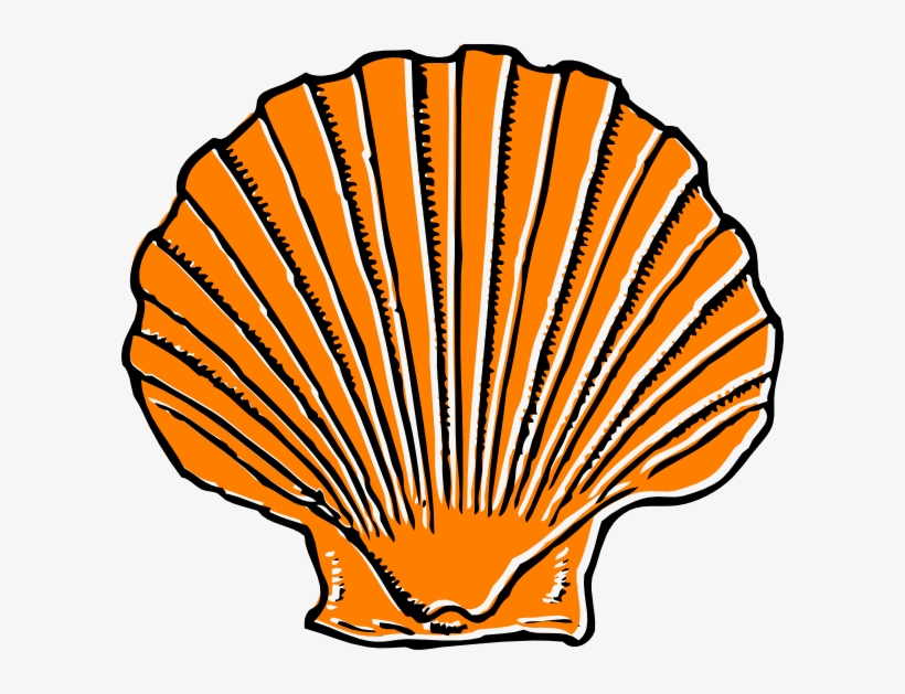 How To Set Use Orange Seashell Svg Vector - 600x549 PNG Download - PNGkit