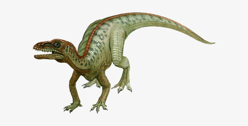 Download Transparent Eoraptor - Dinosaurio Eoraptor - PNGkit