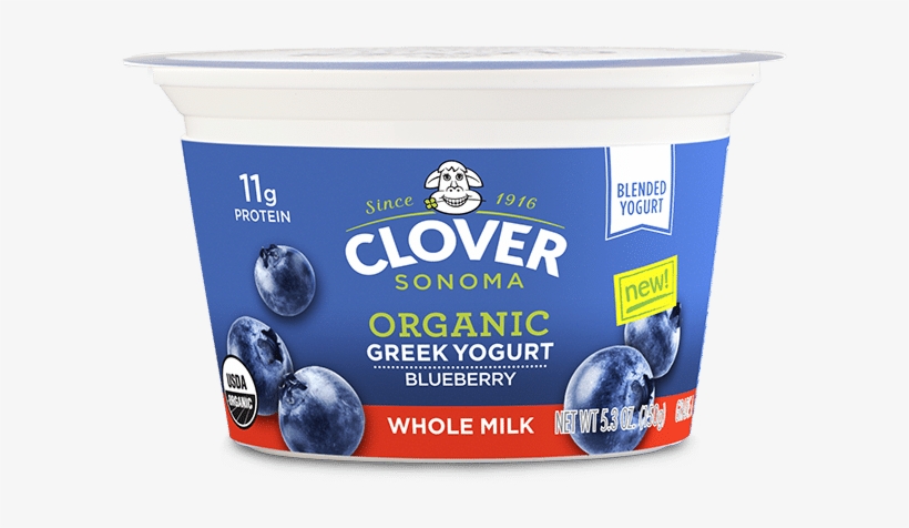Blueberry - Clover Ice Cream, Chocolate - 1.5 Qts (1.42 L) - 645x415 ...