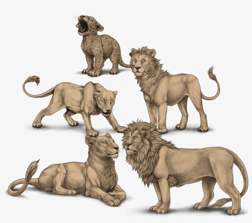 Blind - Lioden Adult Mutation - 1024x890 PNG Download - PNGkit