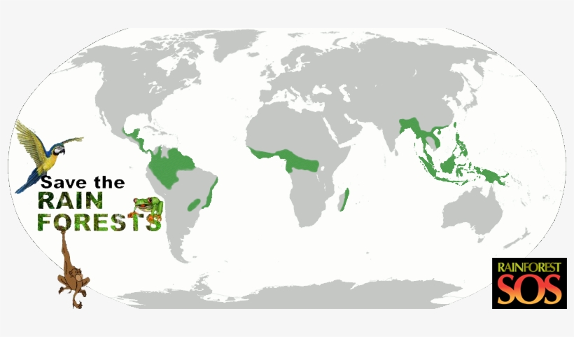 Save The Rainforest - World Map Blank Borders - 800x401 PNG Download ...