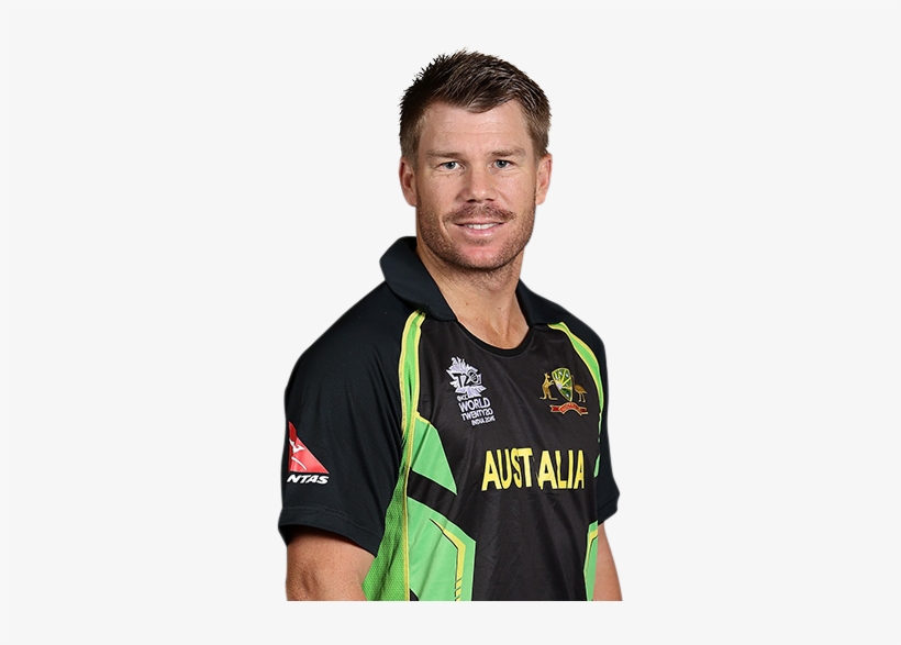 David Warner - David Warner Cricket Player - 350x509 PNG Download - PNGkit