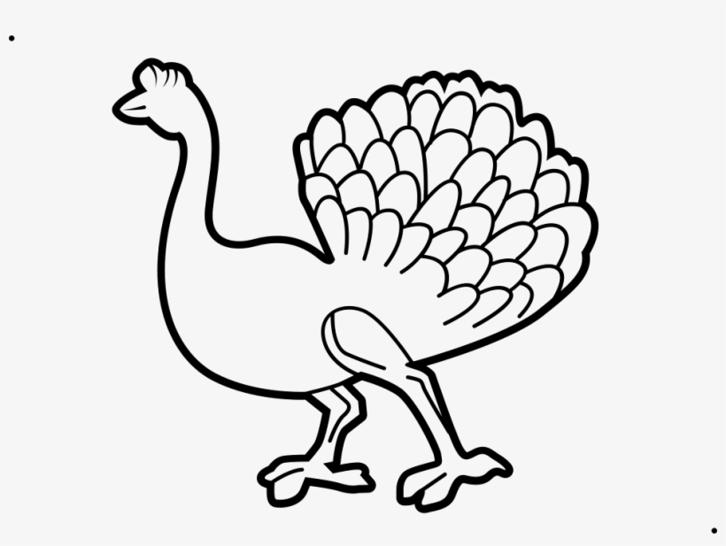 Peacock - Stroke Comments - Cartoon - 980x690 PNG Download - PNGkit