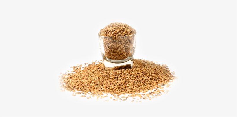 Sesame - 500x350 PNG Download - PNGkit