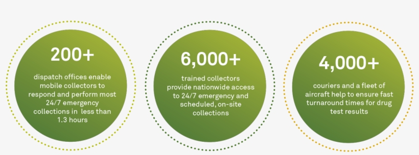Emergency Collection Infographic - Circle - 1367x812 PNG Download - PNGkit