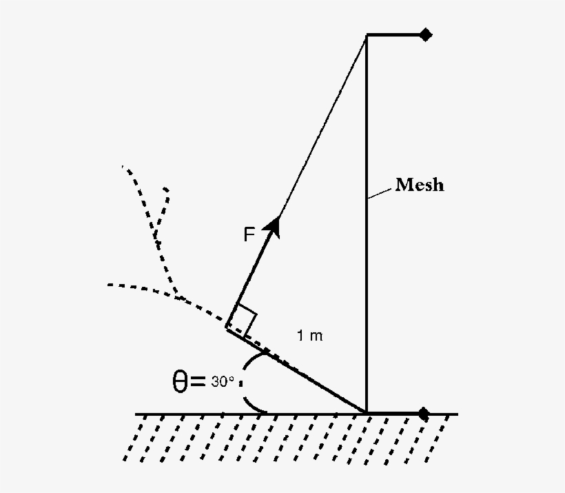 Diagram Of The Wire Mesh Used To Measure The Bending - Plot - 510x635 ...