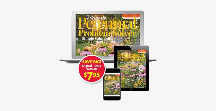 Ultimate Perennial Problem Solver Book Image - Floral Design - 379x342 ...