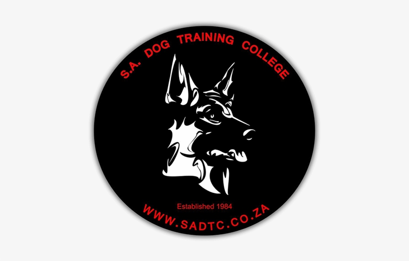Dog Training - Dog - 480x458 PNG Download - PNGkit