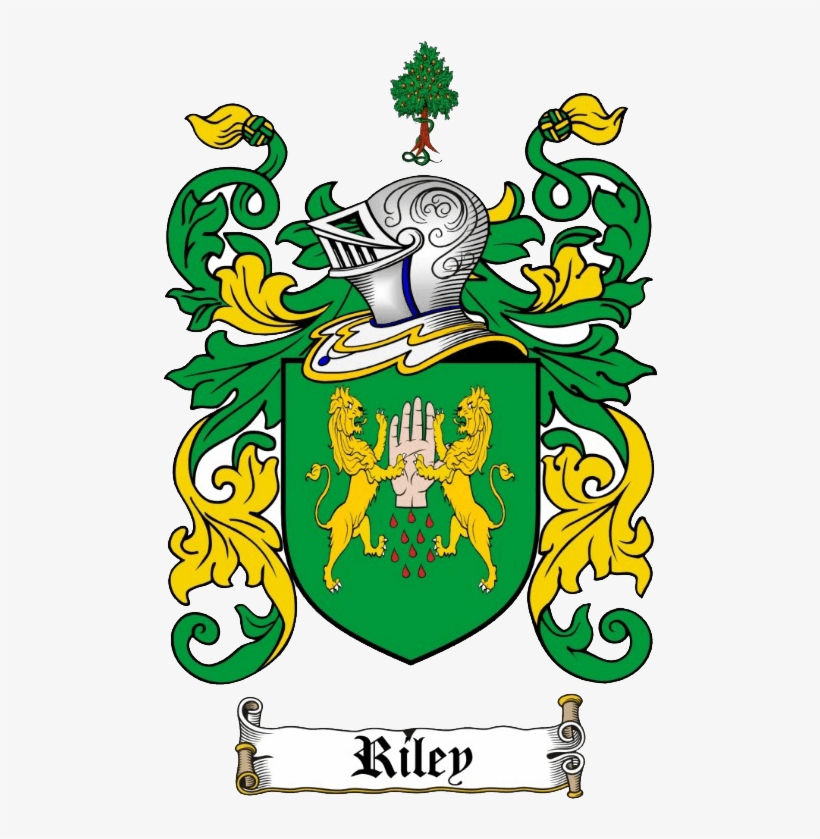 Klein Family Coat Of Arms - 557x807 PNG Download - PNGkit