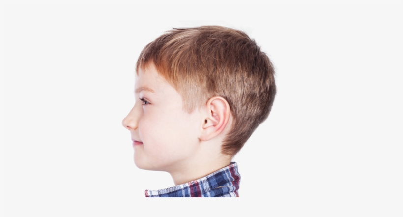 Download Transparent Profile Of Young Boy With Proportionate Features ...