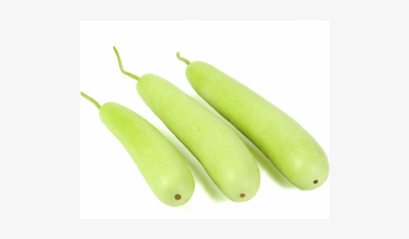 Bottle Gourd - Bottle Gourd Png - 500x500 PNG Download - PNGkit