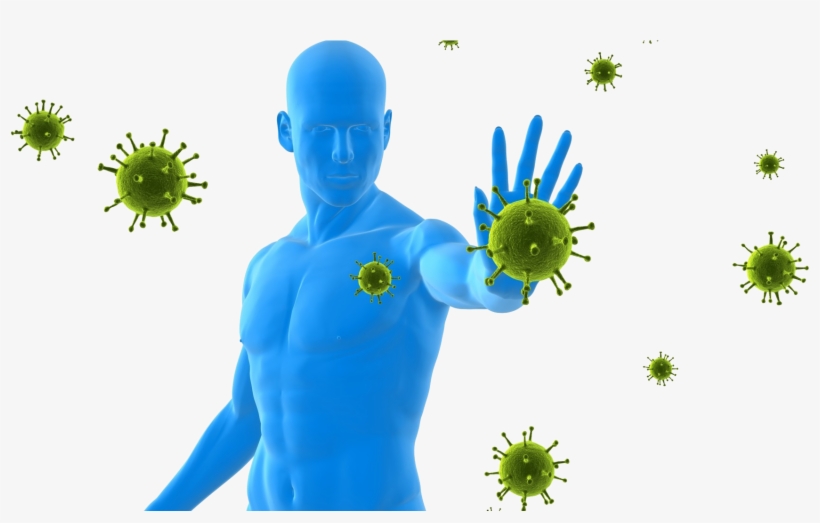 Immune System - 2000x1000 PNG Download - PNGkit