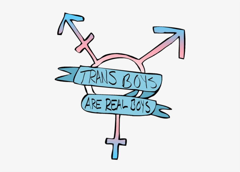 Trans Boys - 500x558 PNG Download - PNGkit