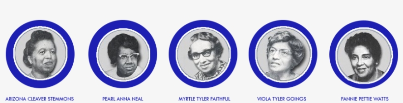 7953108 Orig - Zeta Phi Beta Background - 957x231 PNG Download - PNGkit