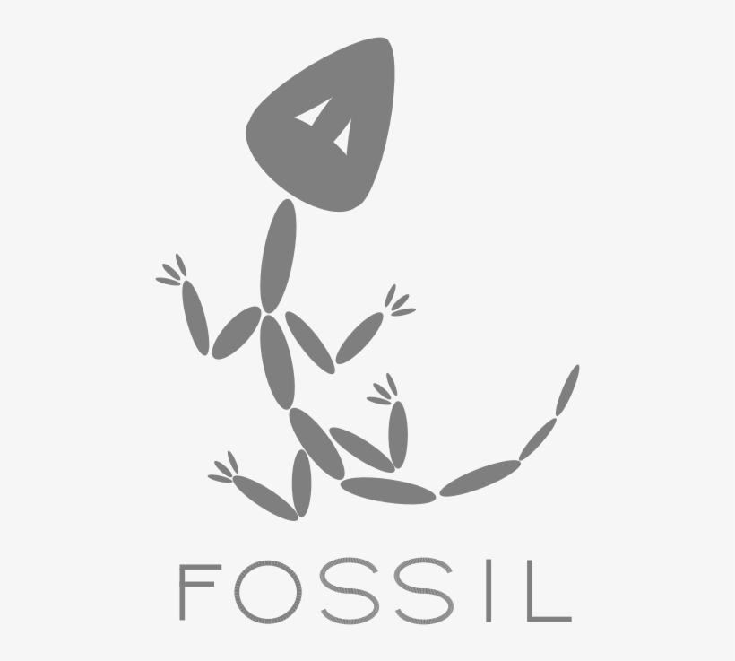 Fossil - 500x688 PNG Download - PNGkit