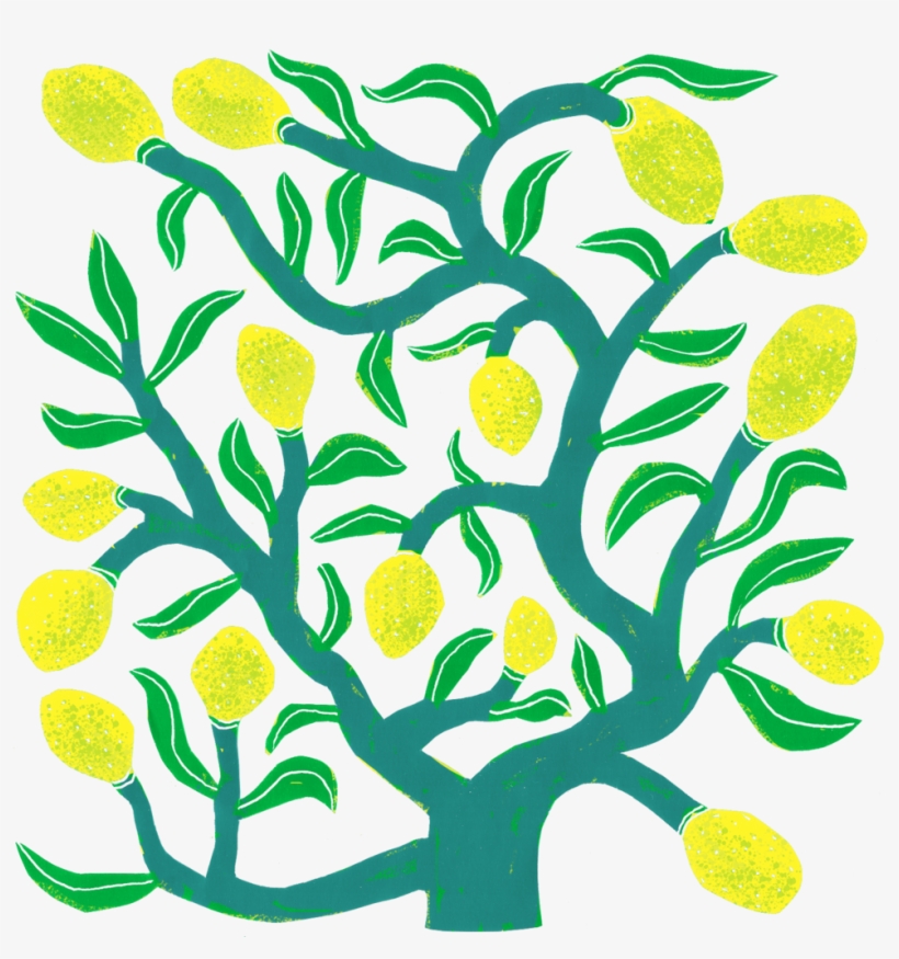 Lemon Tree - 1000x1000 PNG Download - PNGkit
