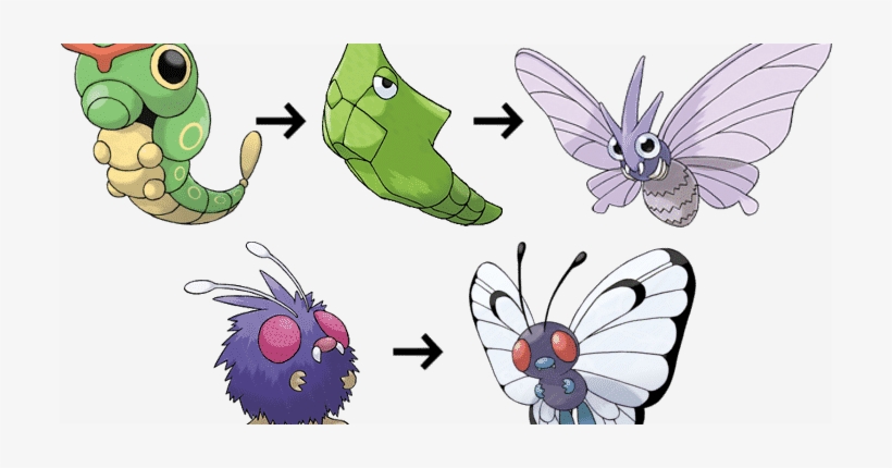 Venonat Evolution