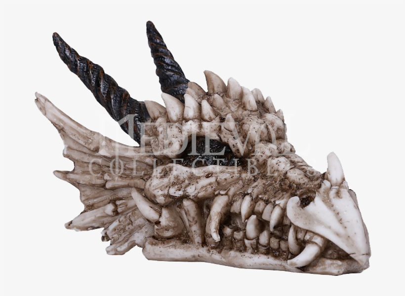 Dragon Skull Statue - Dinosaur - 688x688 PNG Download - PNGkit