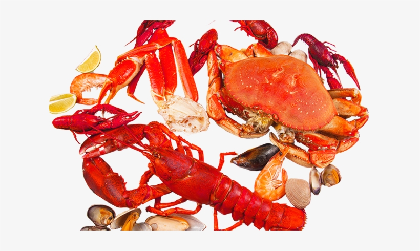 Food Additive Chitin - 630x410 PNG Download - PNGkit