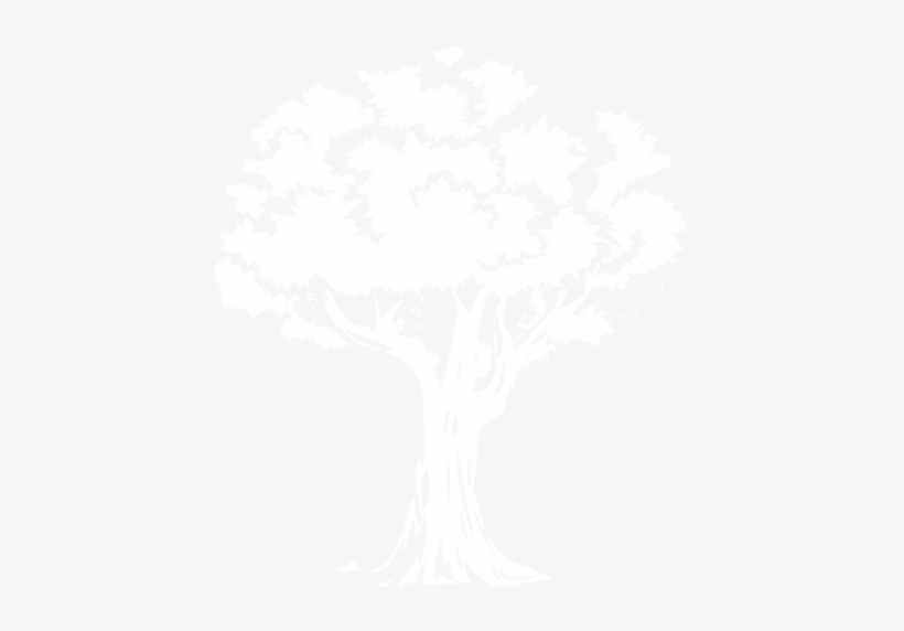 Medium - Illustration - 431x492 PNG Download - PNGkit