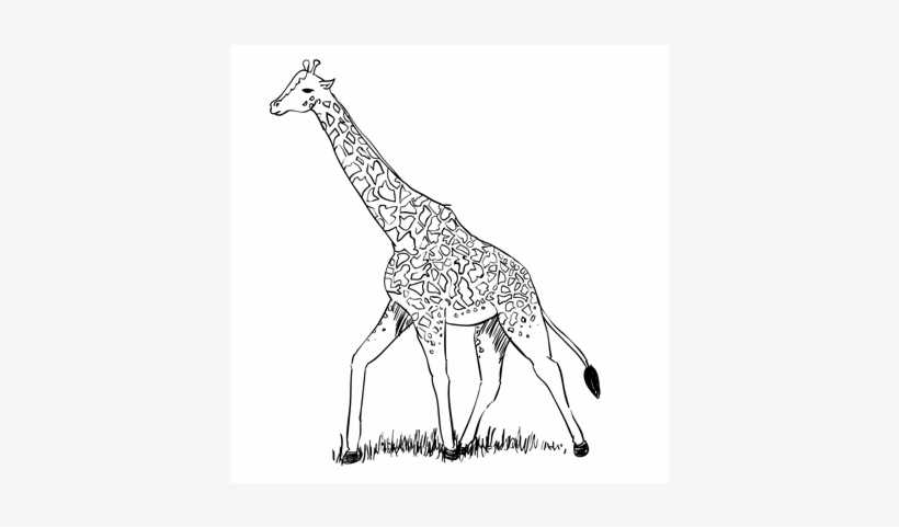 How To Draw A Giraffe Sketchbook Challenge - Drawing - 650x400 PNG ...