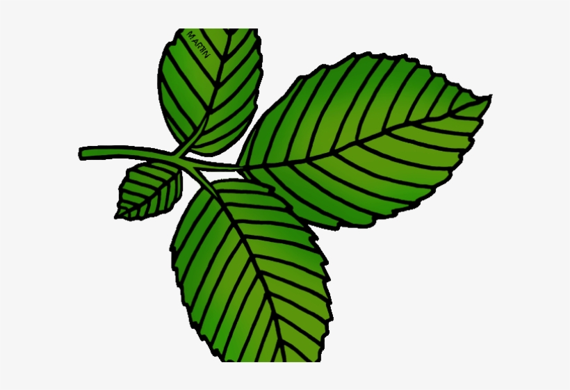 Original - Clip Art - 640x480 PNG Download - PNGkit