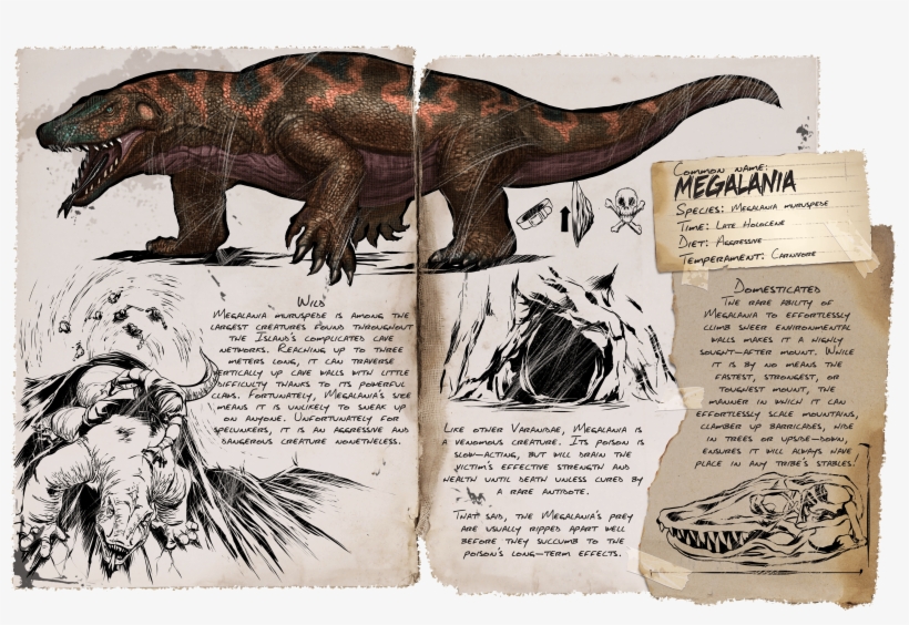 Ark Survival Evolved - 4000x2660 PNG Download - PNGkit