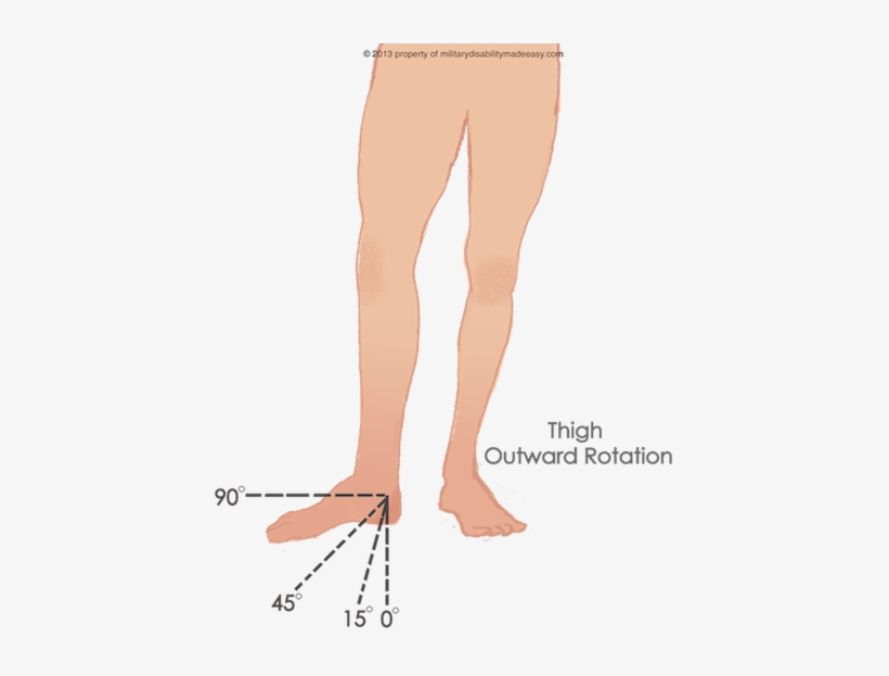 Thigh Rotation 6 - Lateral Rotation Of Foot - 432x543 PNG Download - PNGkit